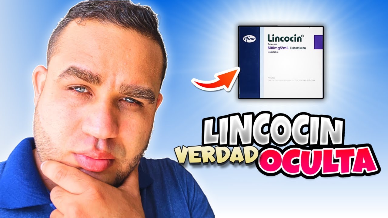 LICOCIN Licomicina Inyeccion 600 mg PARA QUE SIRVE | MECANISMO DE ...