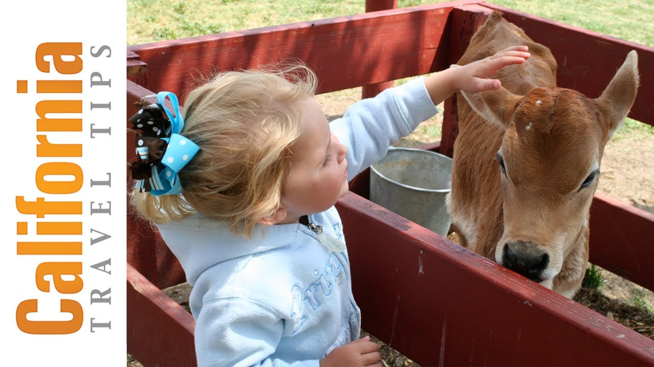 Amy's Farm Tour | California farm tours | California Travel Tips - YouTube