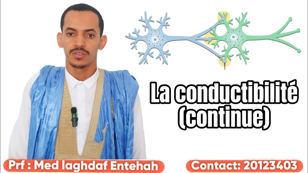 Système nerveux | La conductibilité partie 3 - YouTube