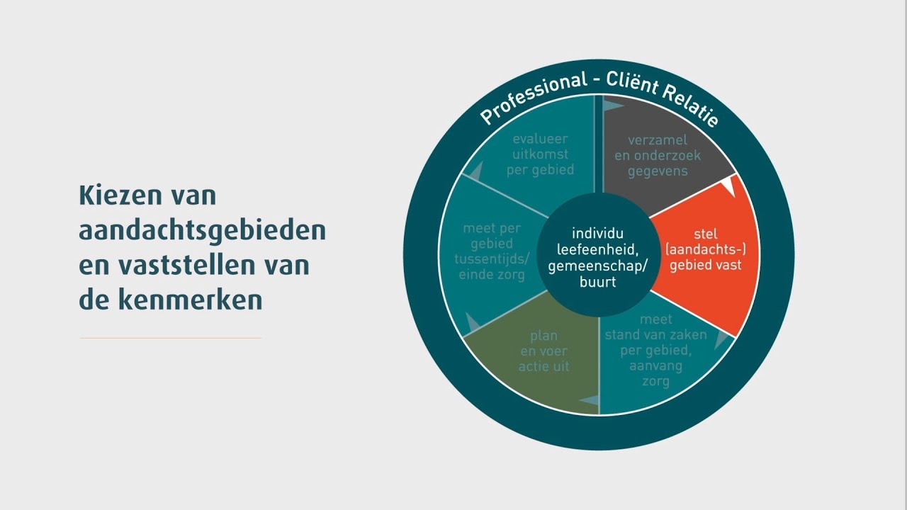 Omaha System | Kiezen van aandachtsgebieden en vaststellen van ...