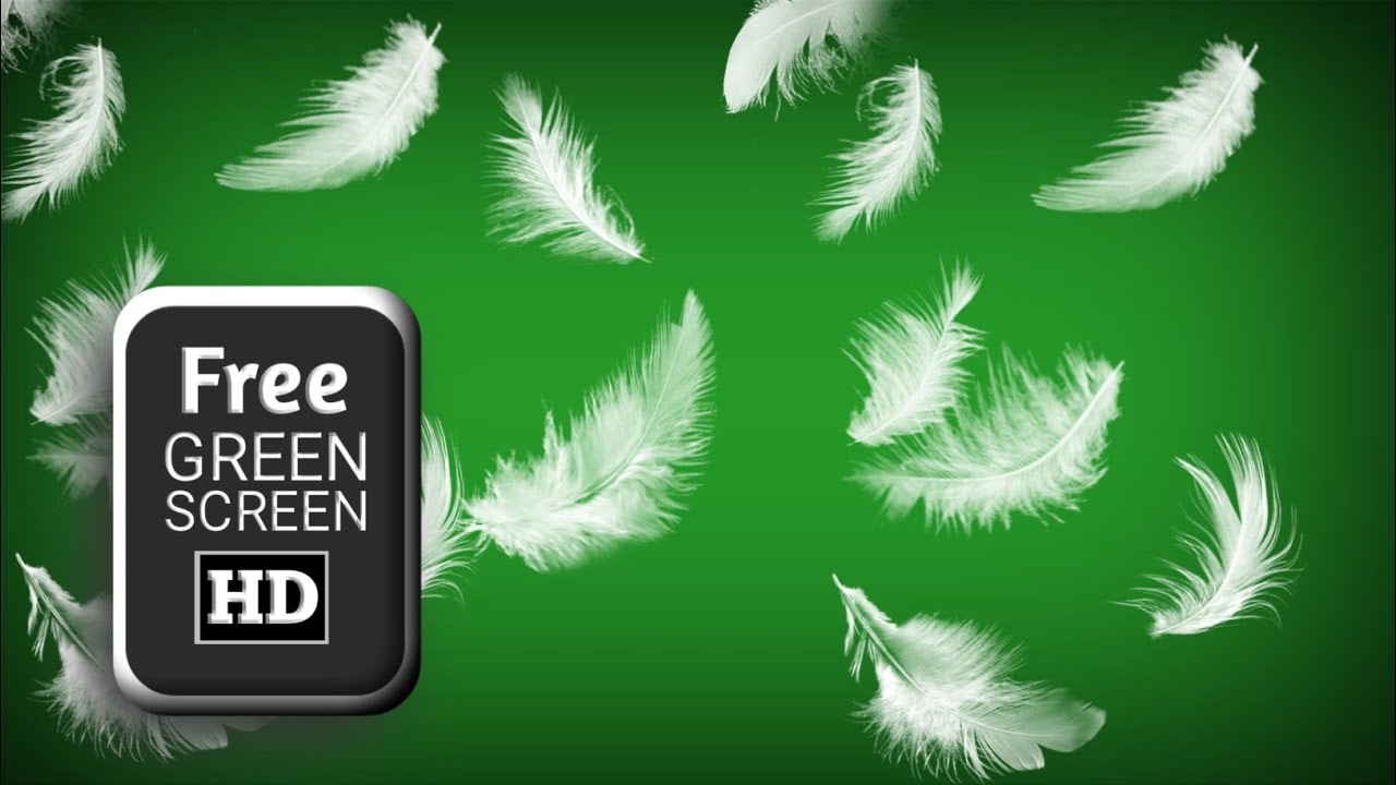 Feather falling green screen | feather green screen video | green ...