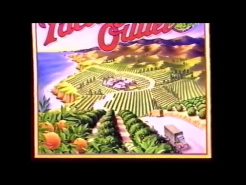 Oxnard Factory Outlet Grand Opening Commercial 1994 - YouTube