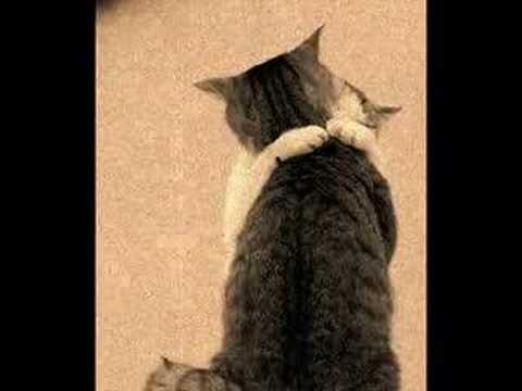 Ask Ve Ortak Siir www.zehirim.com