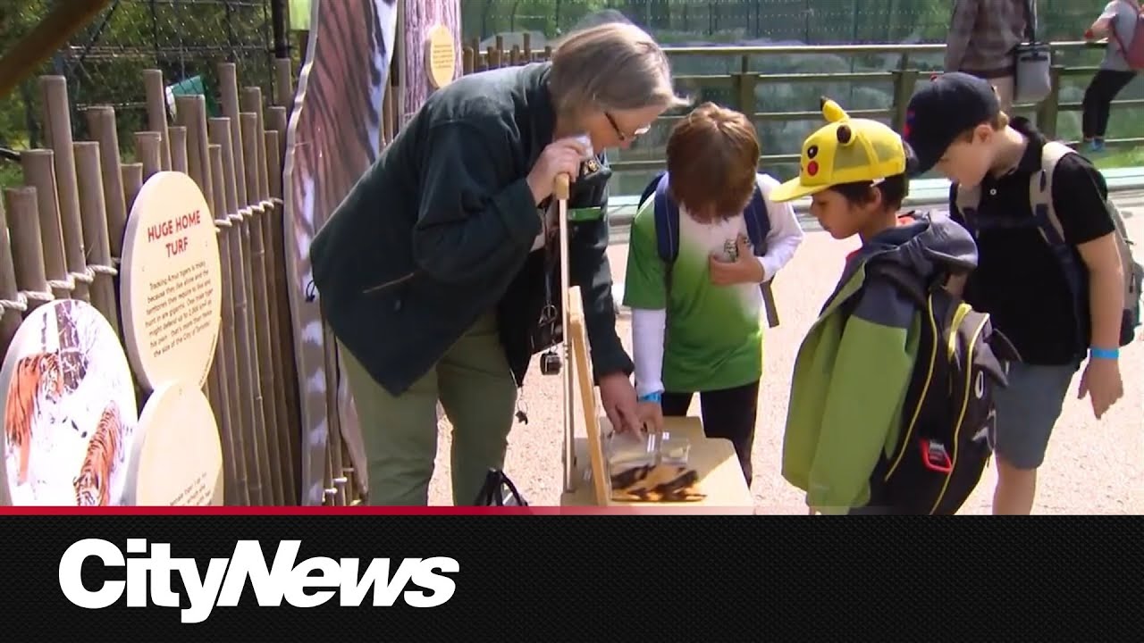 50 years of dedication to the animals at the Toronto Zoo - YouTube