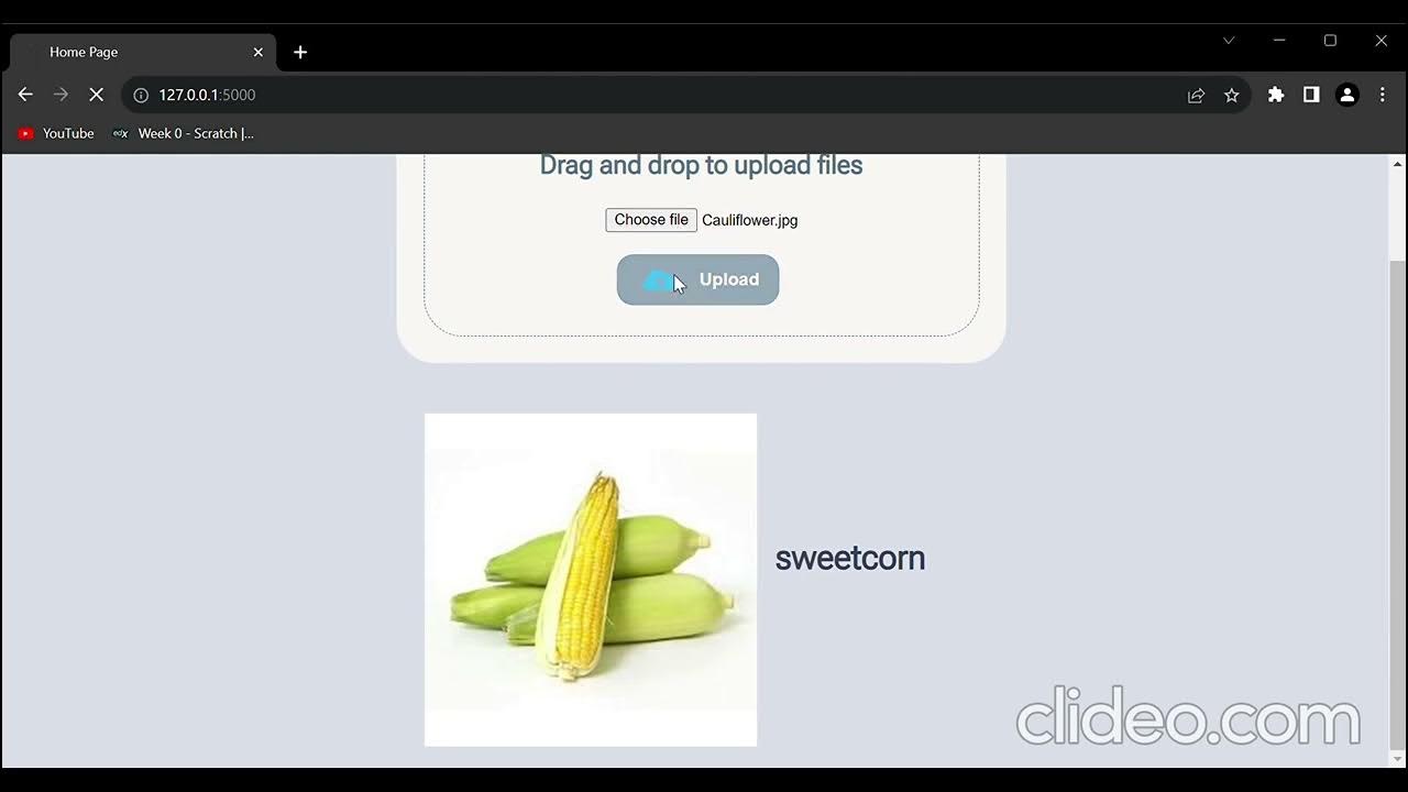 Vegetable And Fruit Detector using Tensorflow And Flask - YouTube