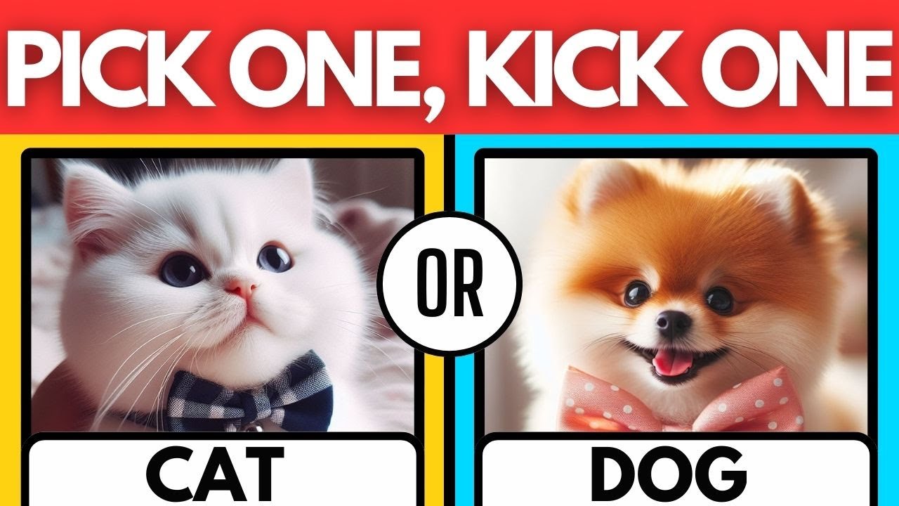 PICK ONE, KICK ONE 🐶 | SUPER HARD choices | Quiz Cat - YouTube