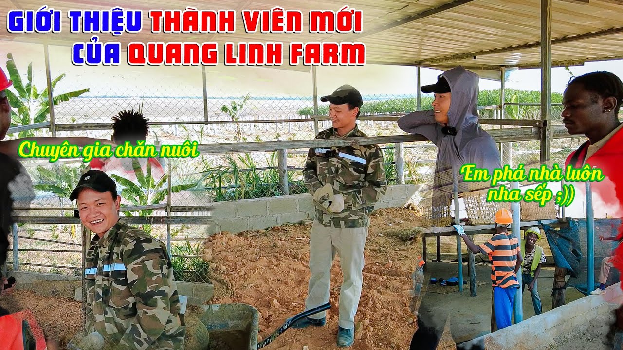 Quanglinhvlogs || Chính Thức Giới Thiệu Thành Viên Mới Của QL Farm ...