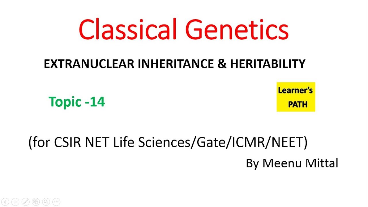 Extranuclear inheritance and Heritability - YouTube