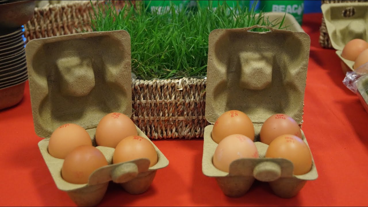 Sustainable packaging made from grass - YouTube