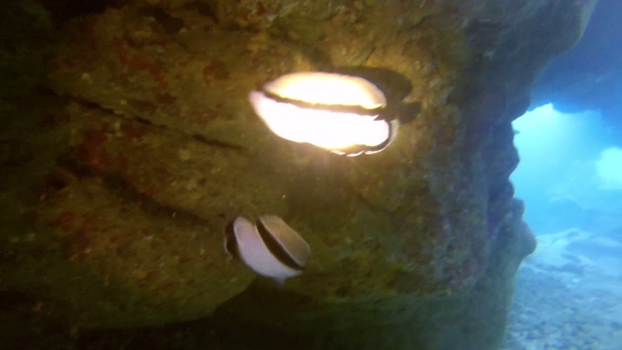 Sheraton Caverns - YouTube