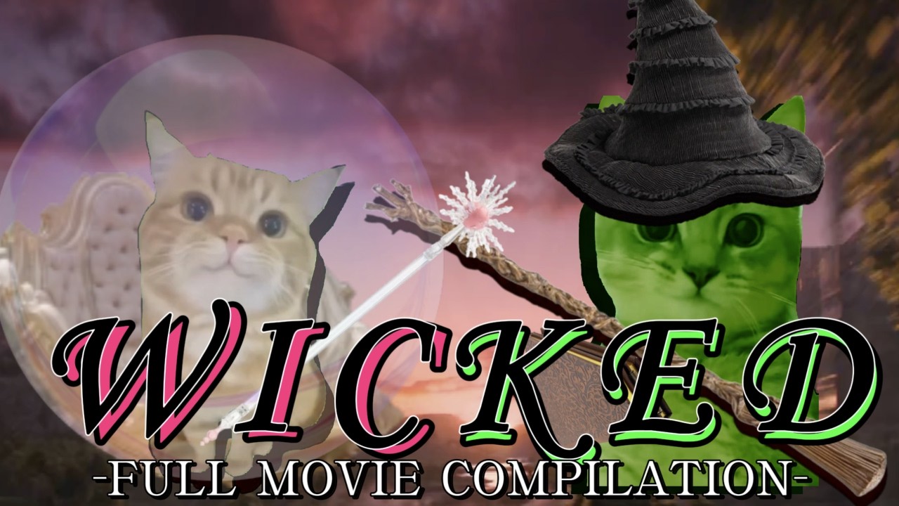 Cat MEMES: WICKED FULL MOVIE COMPILATION - YouTube