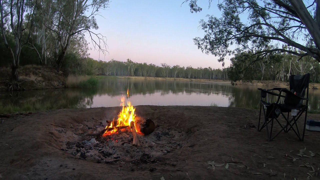 Cod Opening murray river Cobram 2018 - YouTube