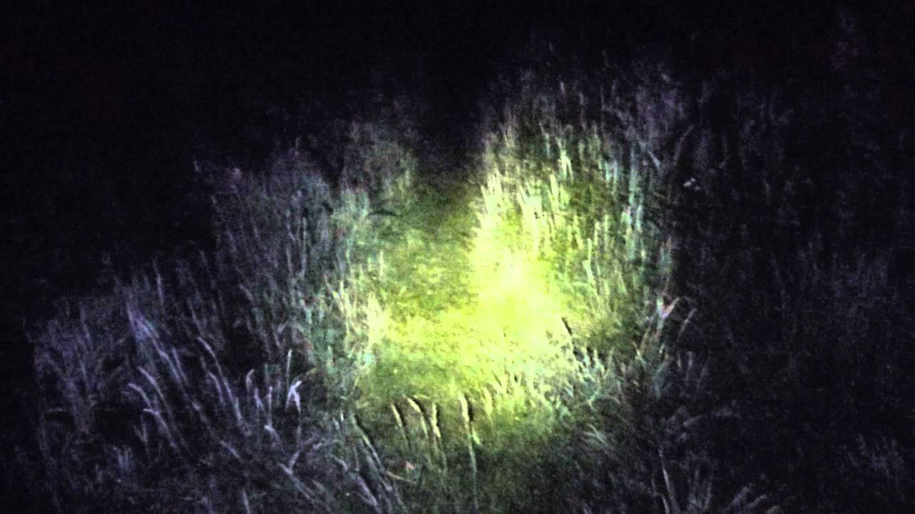 Prometheus Lights Alpha Series XM18-B Camping use mini review - YouTube