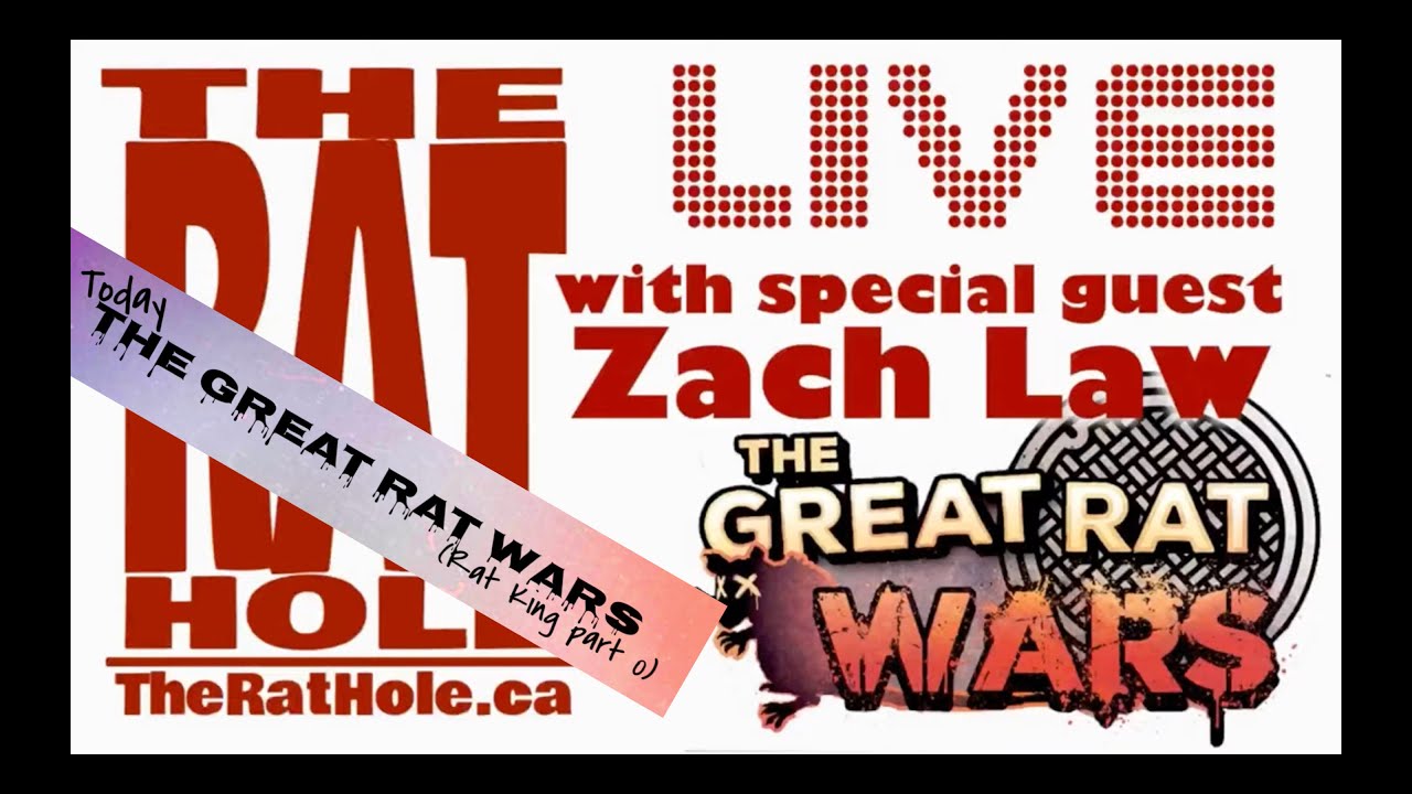 LIVE w/ Zach Law (plus The Paint Slinger painting the Rat King) - YouTube