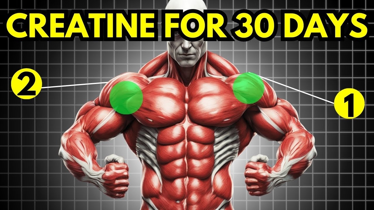 What Creatine Does To Your Muscle? - YouTube