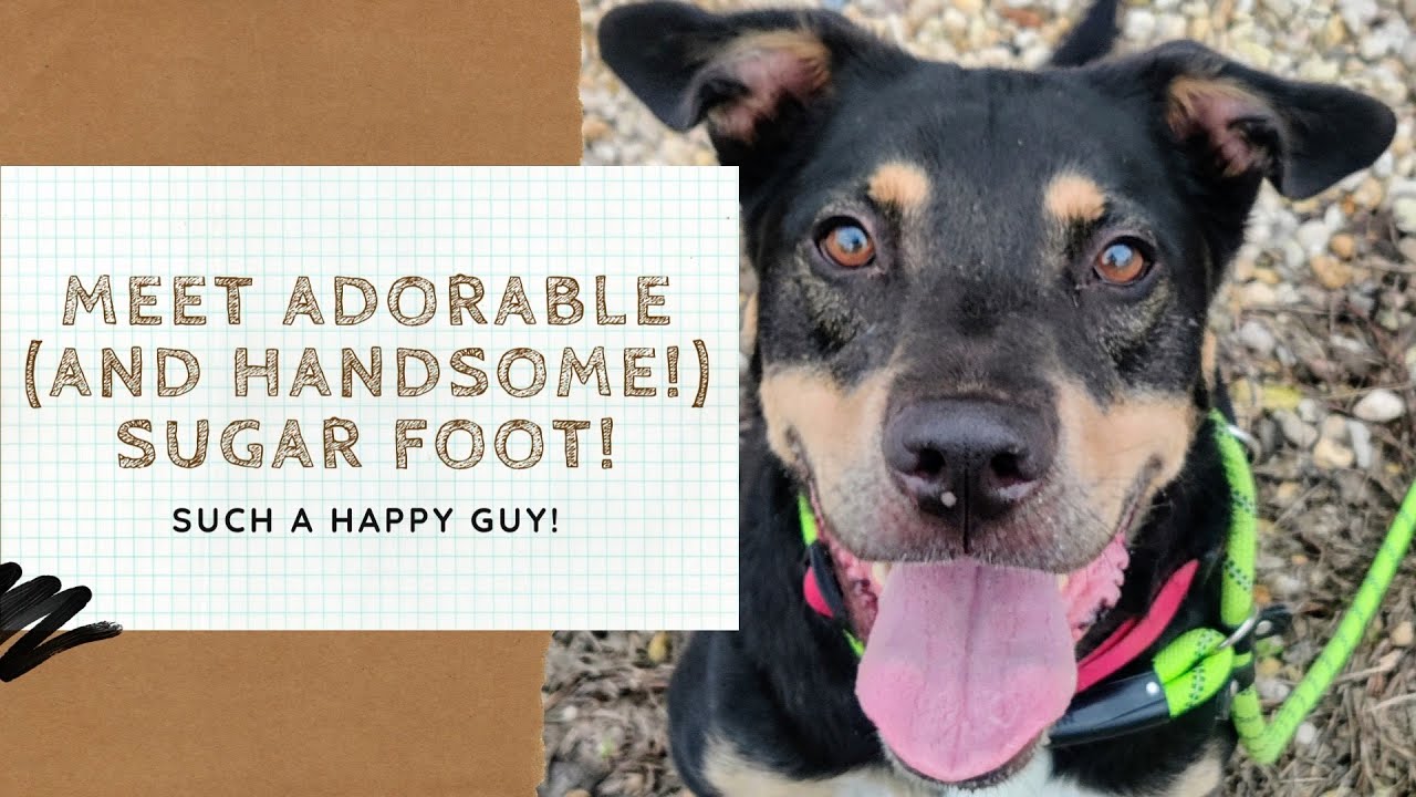 Sugar Foot - YouTube