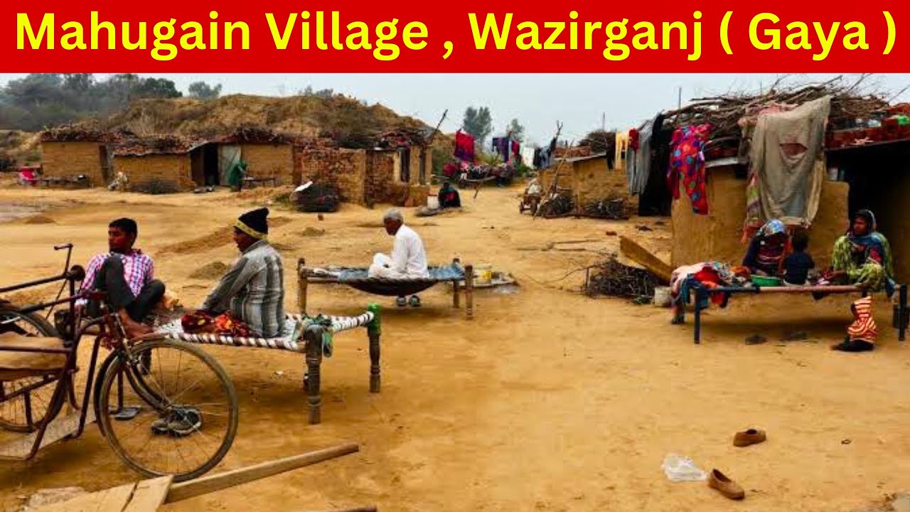 Beautiful View of Mahugain Village, Wazirganj, Gaya | Wazirganj, Gaya ...