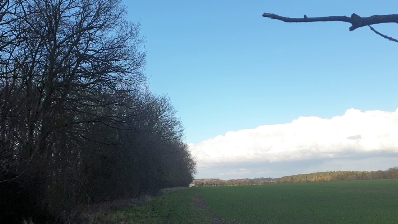 Chrishall Common highest point in Essex - YouTube