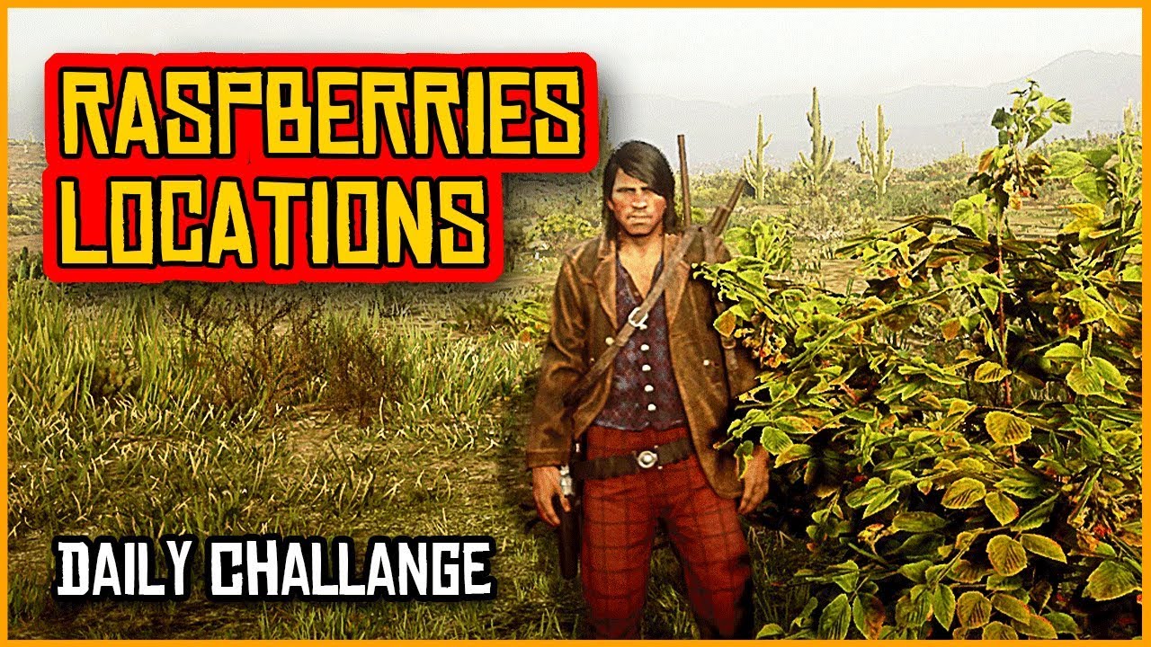 Raspberries Locations Daily Challange | Red Dead Online - YouTube