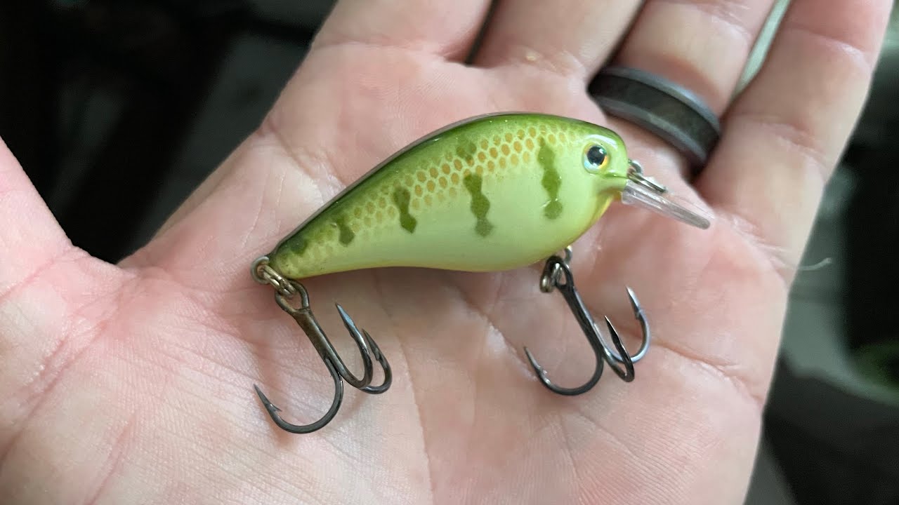 Top 5 Tiny Baits that Catch Giant Bass RIGHT NOW! (Ep. 100) - YouTube