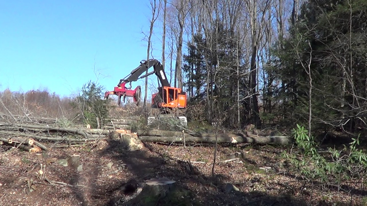 Timberpro TL745C Feller buncher - YouTube