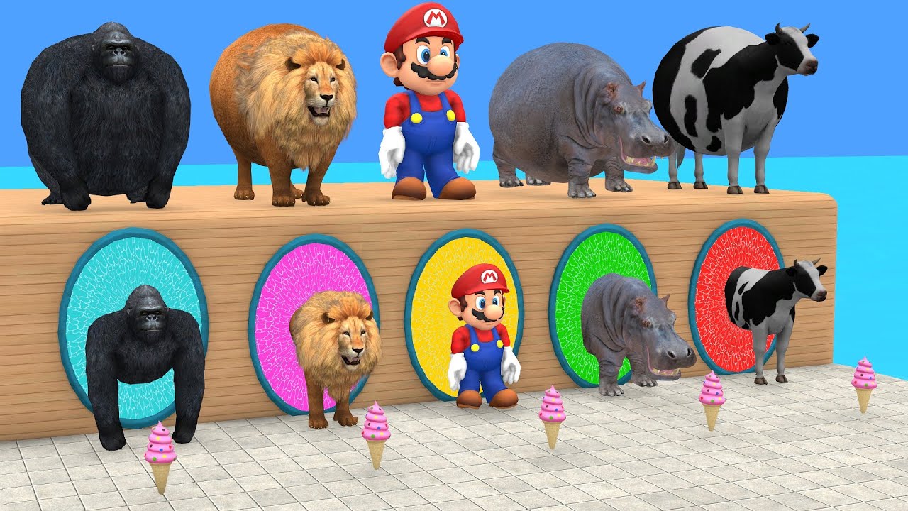 Long Slide Game With Elephant Gorilla Buffalo Hippopotamus Tiger 3d ...