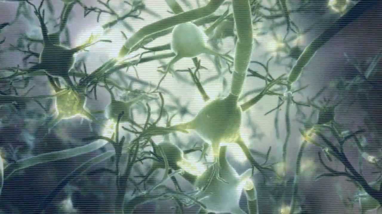 Medical Animation - Showcase by Scientific Animations - YouTube