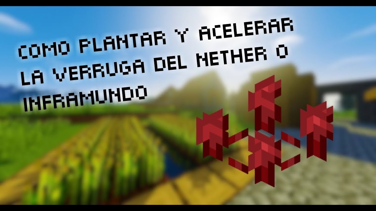 Como plantar y acelerar la verruga del nether o inframundo(Minecraft ...