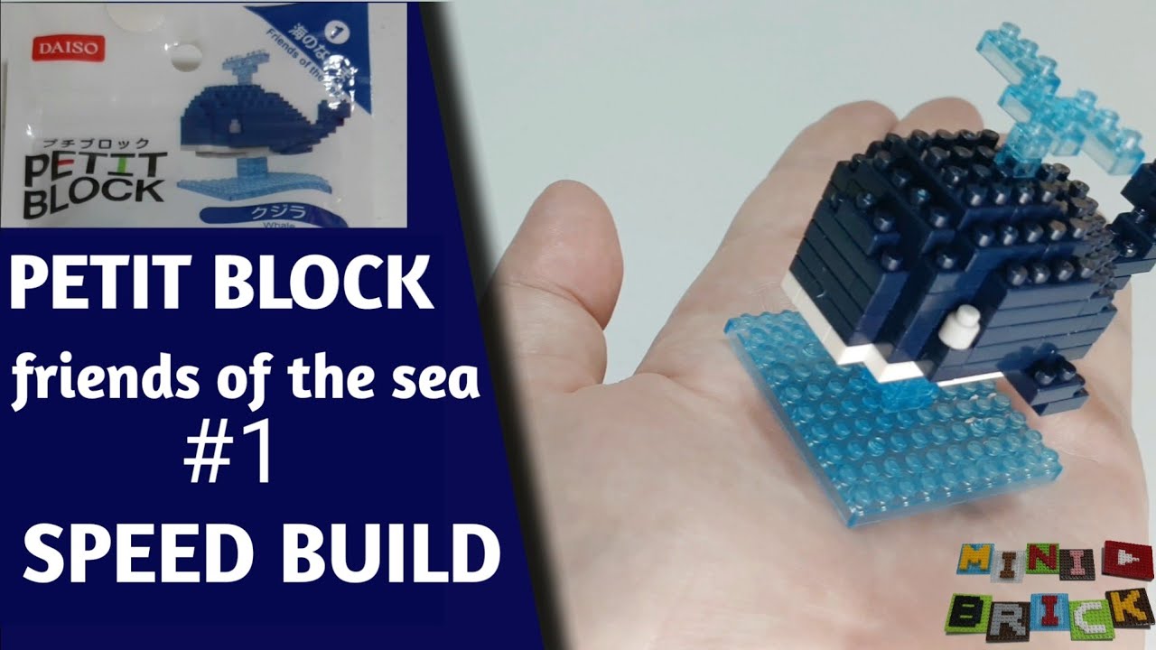 PETIT BLOCK | Friends of the sea #1 WHALE | Stop motion speed build ...