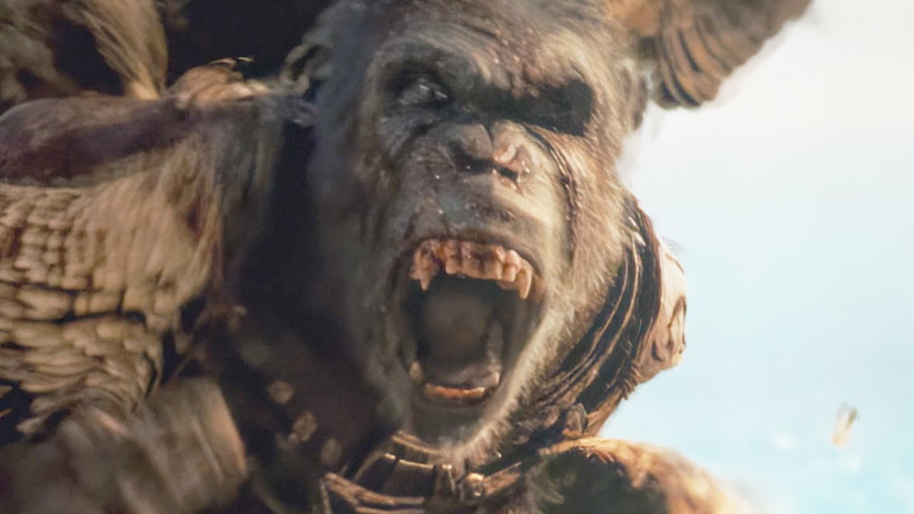 Noa Gets Proximus Caesar Killed With Eagles Proximus Caesar Death ...