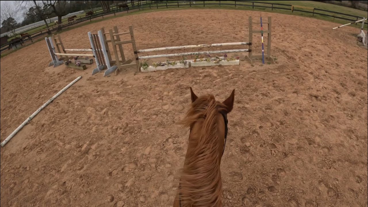 Show Prep Ride!! | Horse GoPro Helmet Cam - YouTube