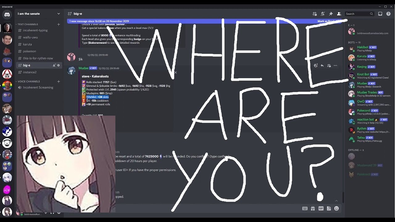 The 7 Stages of Mudae Gameplay - YouTube