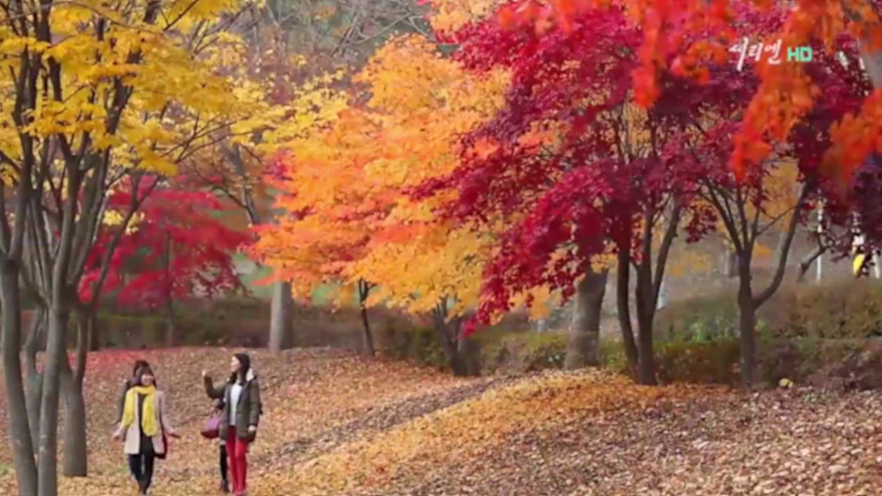 Welcome to Wolmyeongdong - God's Natural Temple - YouTube