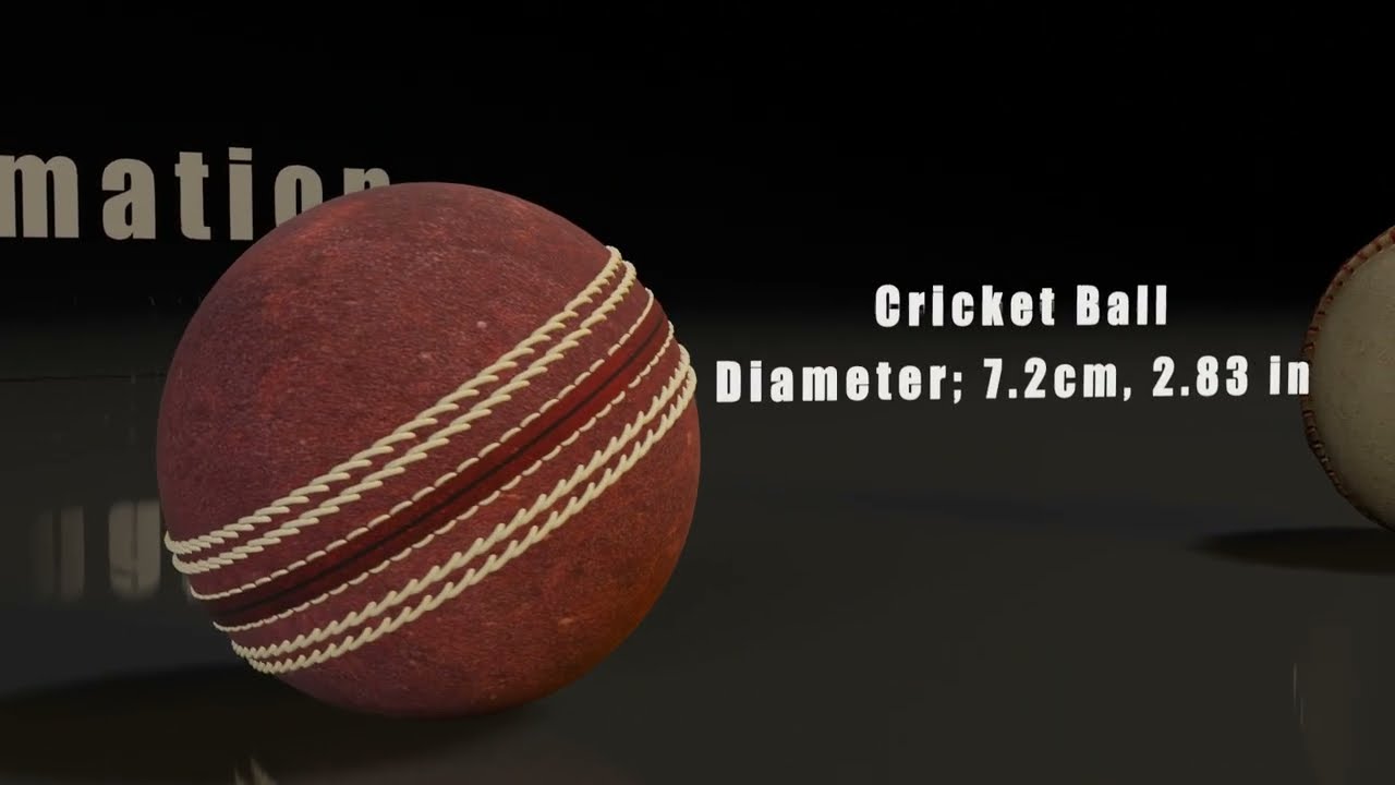 Sports balls size Comparison | 3D comparison | base ball | shorts ...