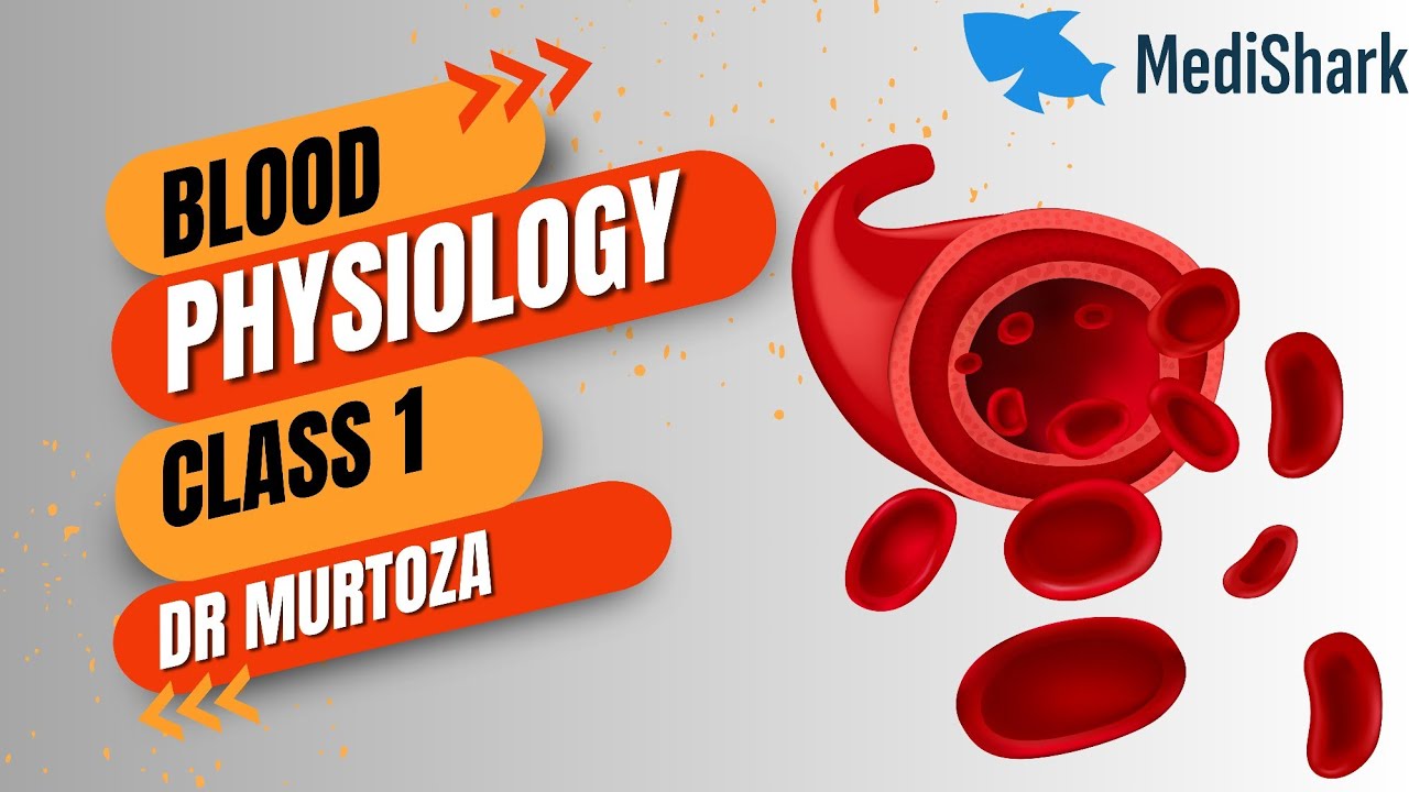Physiology. Blood. Class 1. Blood definition, its components and ...