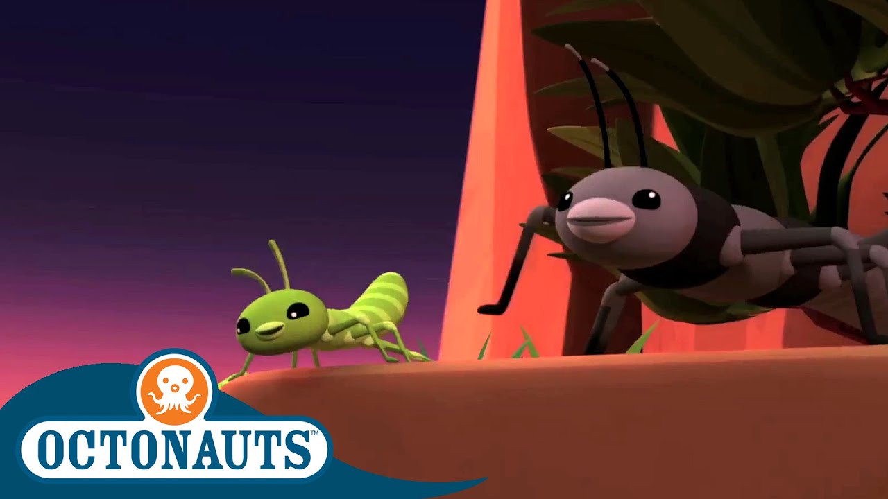 Octonauts - The Tree Lobsters | Cartoons for Kids | Underwater Sea ...