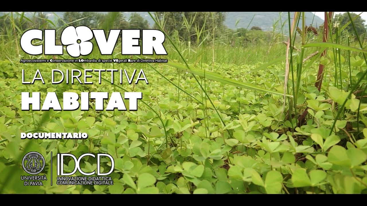 Progetto CLOVER - La Direttiva Habitat - Documentario di apertura (KIRO ...