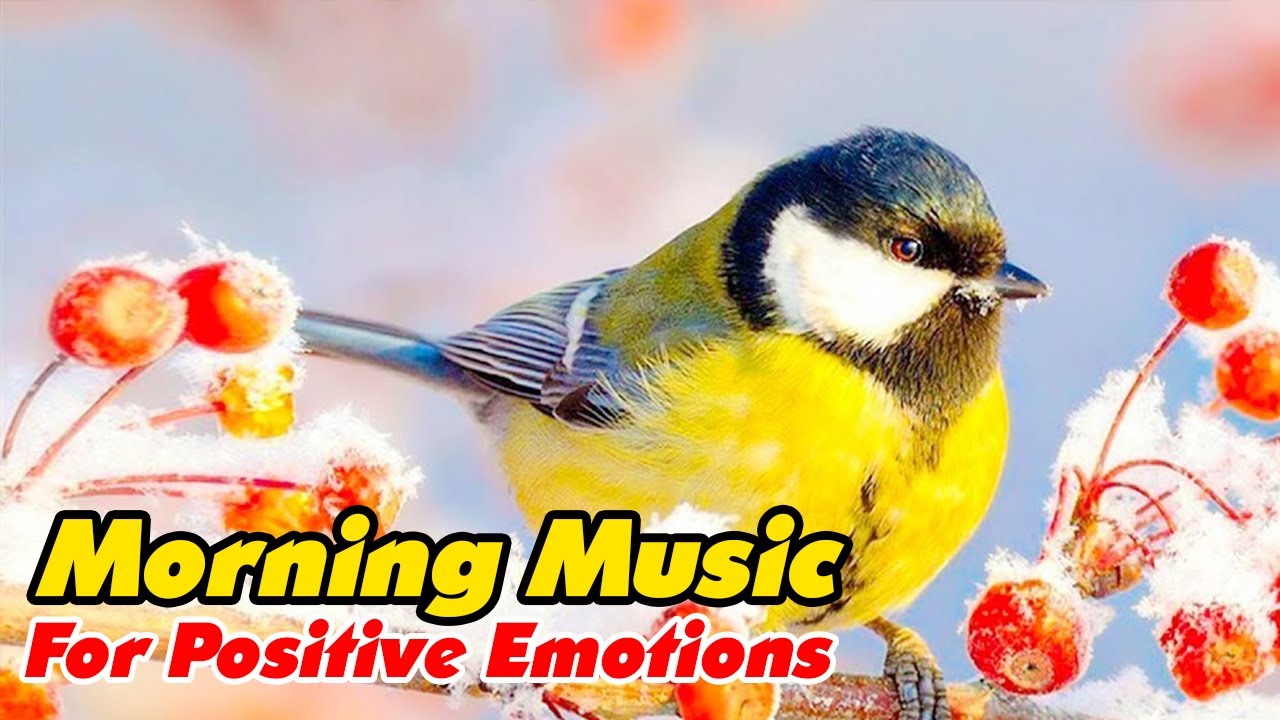 Morning Music For Positive Emotions & Calmness Peaceful Music For ...