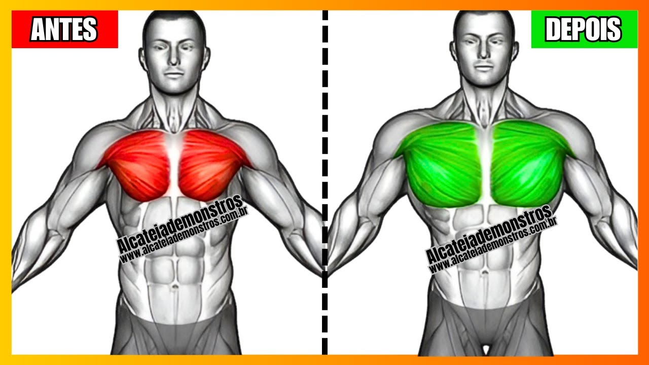 7 EXERCÍCIOS SIMPLES PARA O PEITO EM CASA – SEM EQUIPAMENTOS! - YouTube