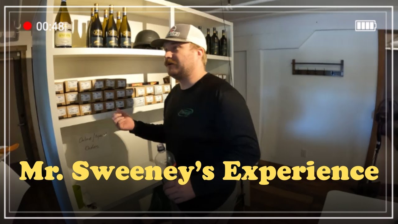 Welcome to Mr Sweeney’s Experience - The Brutal Truth About Running a ...