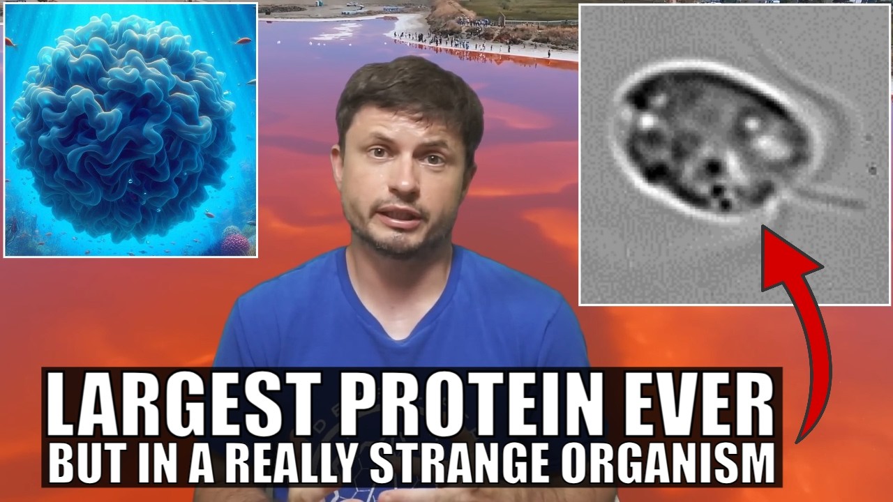 Largest Protein Ever Found In the Most Unlikely of Organisms (PKZILLA ...