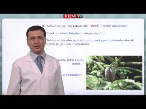 BİTKİLERDE ÜREME VE GELİŞME