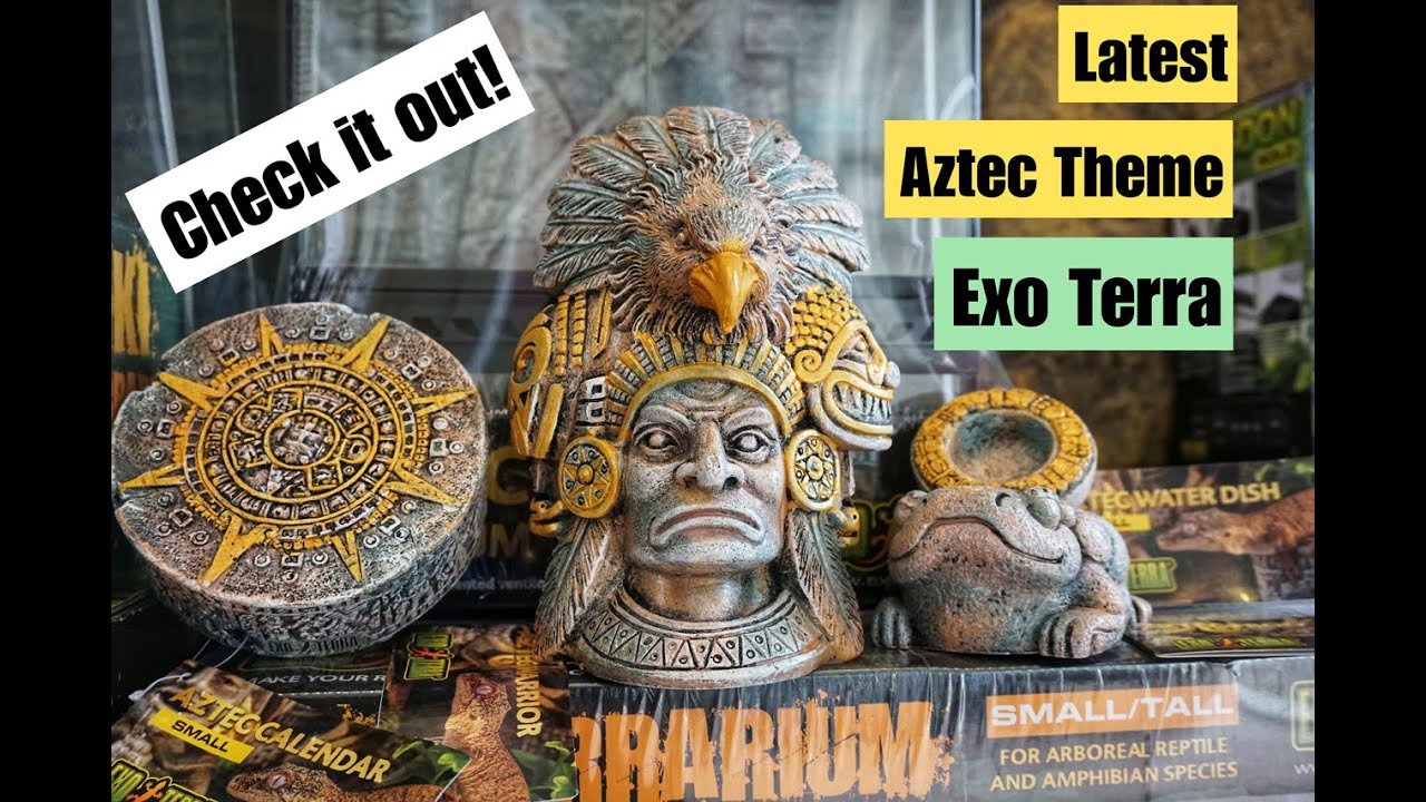 Exo Terra Aztec - YouTube