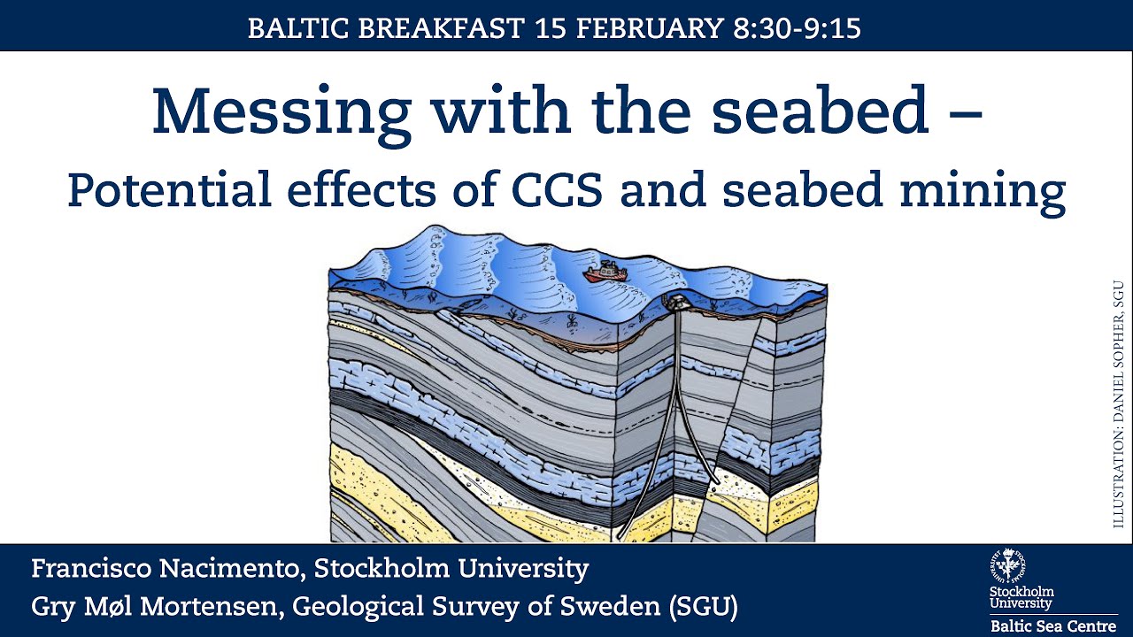 Baltic Breakfast: Messing with the seabed – potential effects of CCS ...