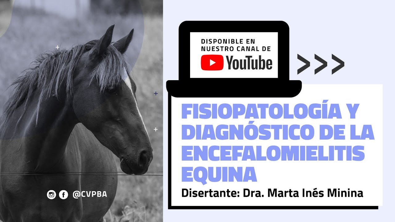 Fisiopatología y Diagnóstico de la Encefalomielitis Equina - YouTube
