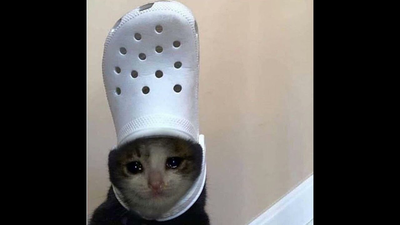 Vinesauce Joel's sad Croc cat hat rap - YouTube