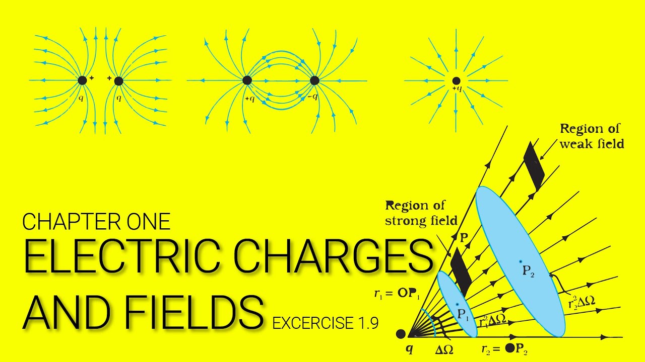 Exercise 1.9 | Explained | Electric Charges and Fields | NCERT Physics ...