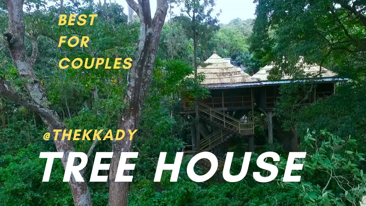 TREE HOUSE/THEKKADY/4KUHD/PERIYAR TIGER RESERVE FOREST/COUPLES/FAMILY ...