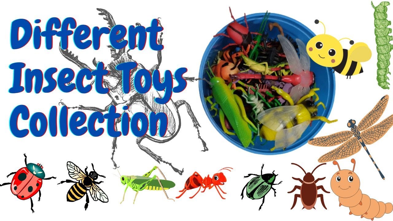 Bucket Full of Insect Toys - YouTube