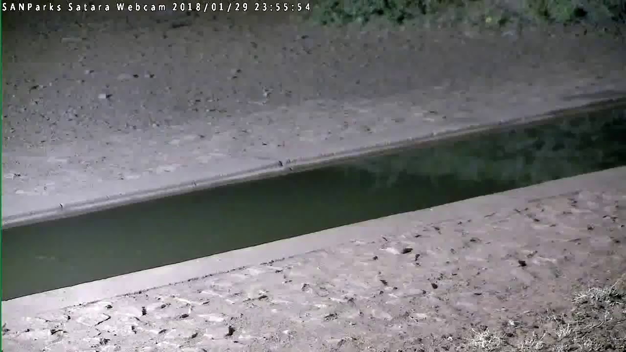 Satara Cams Live Stream - YouTube